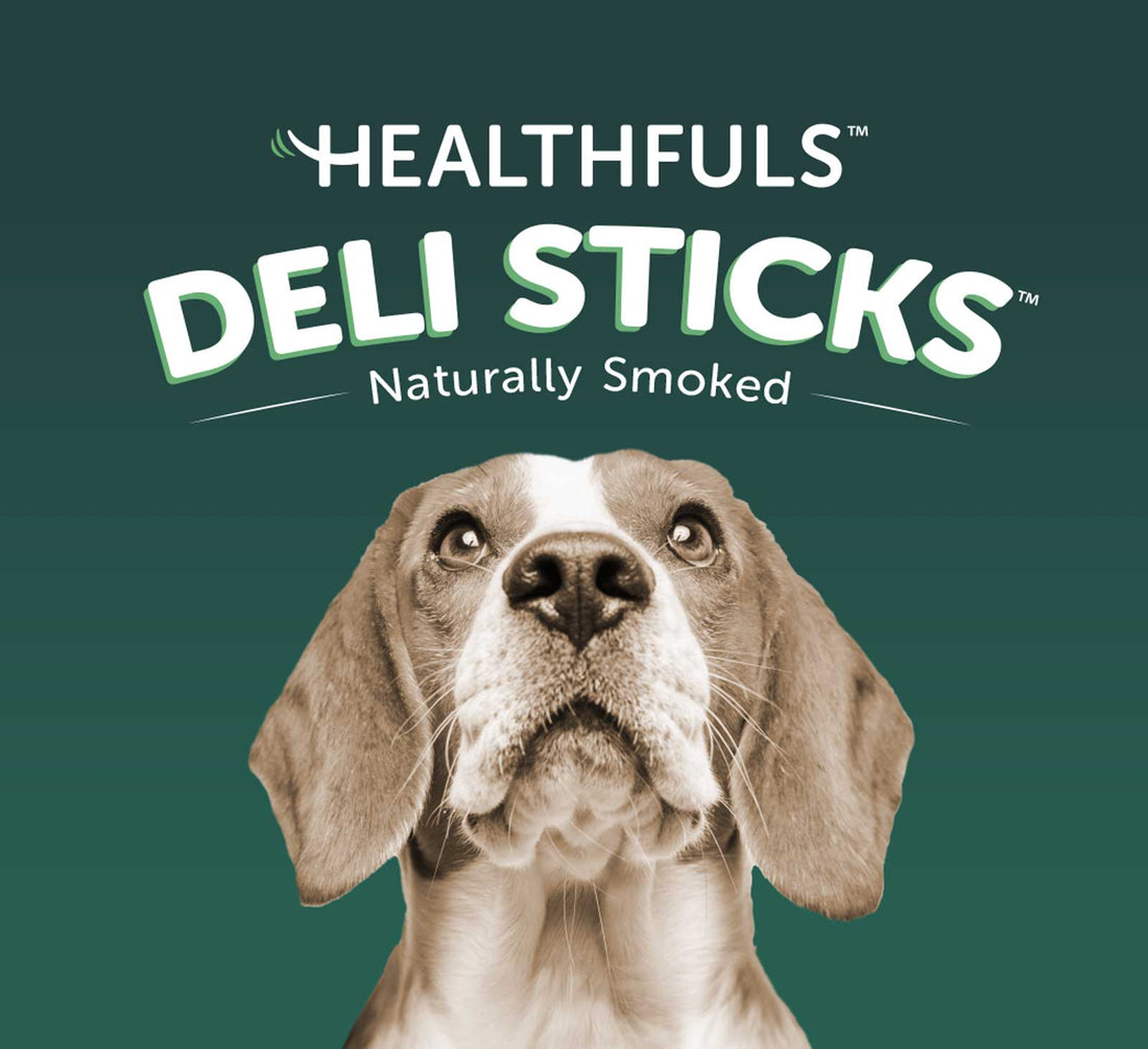 Healthfuls | Deli Sticks – westminsterpet